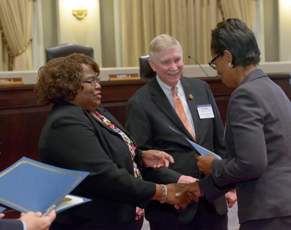 2014 Pro Bono Publico & Children's Law Awards